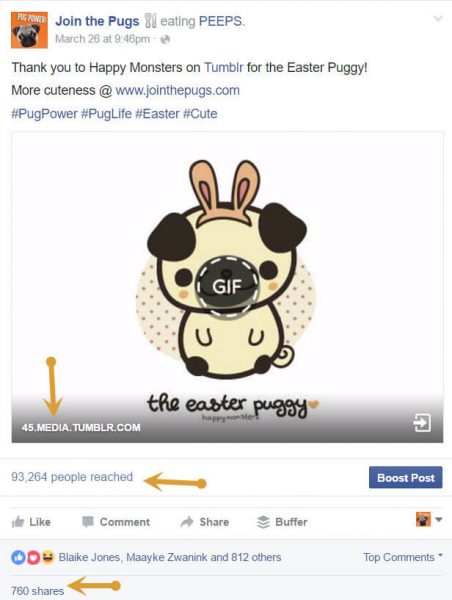Want Crazy Engagement For Your Facebook Page? Try A GIF!